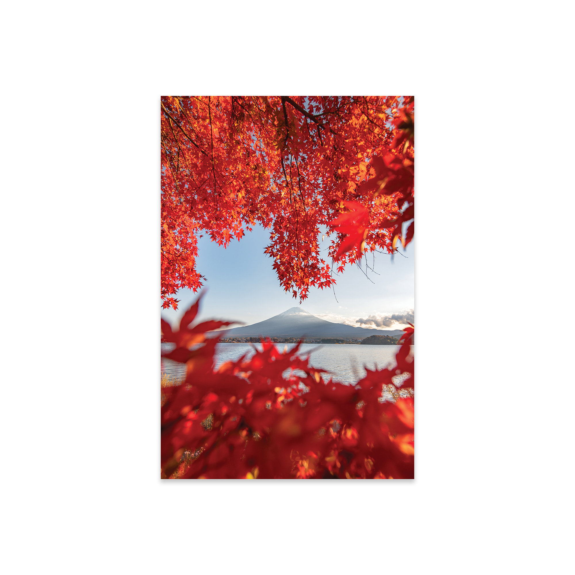 Ebern Designs Autumn In Japan III On Plastic/Acrylic by Daisuke Uematsu Painting | Wayfair